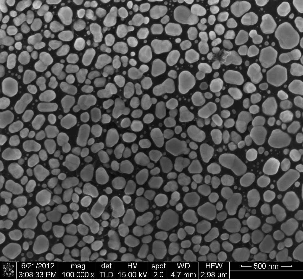 FE-SEM FEI Quanta 450 – CISUP – Center for Instrument Sharing of the ...