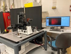 Fluorescence Super-resolution Microscope - Nikon STORM 5.0 - CISUP ...